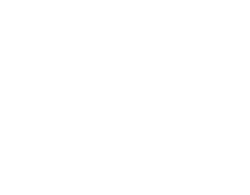 Sales Promotion Software - EMPPLAN